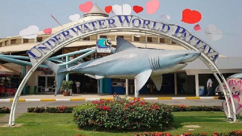 Pattaya: Underwater World Pattaya Aquarium Admission Ticket - FAQs