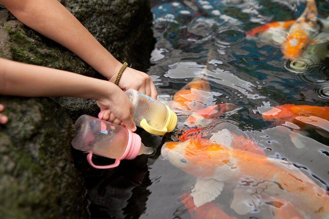 Pattaya Underwater World Tickets - Practical Considerations