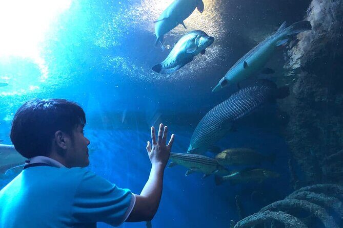 Pattaya Underwater World Tickets with Optional Hotel Pickup - Frequently Asked Questions