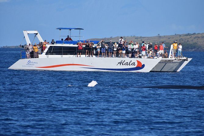 Pau Hana Sunset Cruise with the Whales - The Itinerary: What You Can Expect