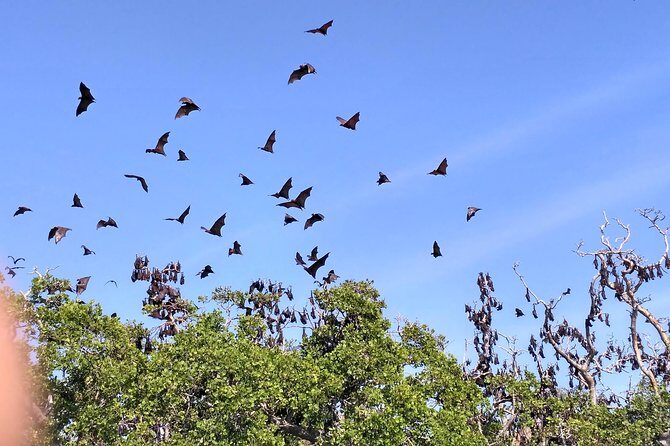 Pauls Flores Tour Labuan Bajo to Ende Flores Land Tour inland by Car 6 Days - Analyzing the Value