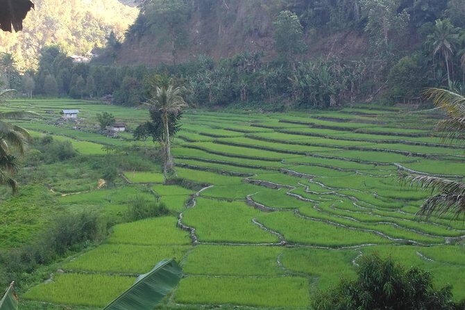 Pauls Flores Tour Labuan Bajo to Ende Flores Land Tour inland by Car 6 Days - FAQs