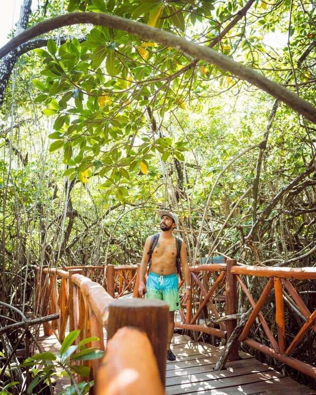 PDC: Eco Adventure at Cenotes Casa Tortuga & Tulum Ruins - Final Thoughts on Value and Experience