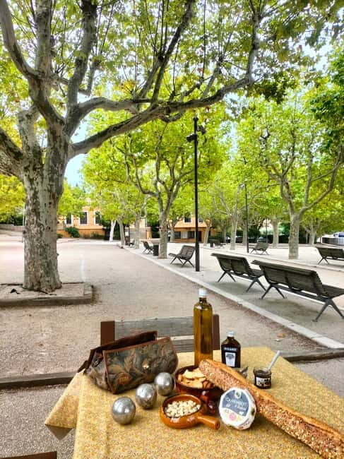 Peaceful Countryside Day : vineyards, food & villages - Transportation and Comfort
