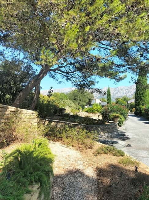Peaceful Countryside Day : vineyards, food & villages - Price and Value