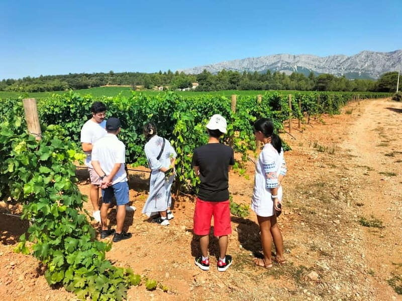 Peaceful Countryside Day : vineyards, food & villages - Real Experiences and Feedback