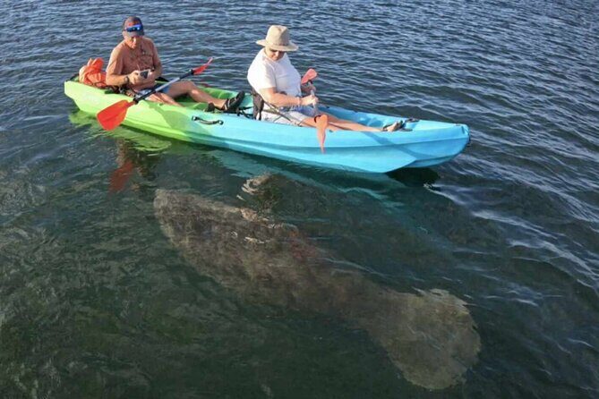 Peaceful Couples Sunrise Tandem Kayak  Three Sisters Springs - Peaceful Couples Sunrise Tandem Kayak at Three Sisters Springs: A Review
