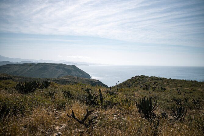 Peaceful Hike Trail in the Mountains and Picnic on the Beach - An In-Depth Look at the Tour Experience