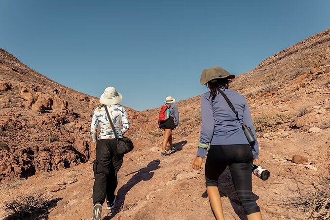 Peaceful Hike Trail in the Mountains and Picnic on the Beach - FAQs