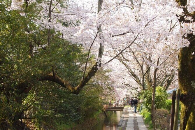 Peaceful Kyoto Walking Tour - Authentic Feedback from Past Travelers