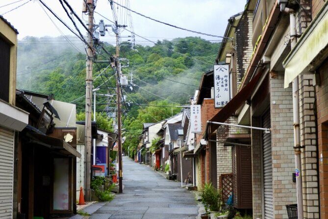 Peaceful Kyoto Walking Tour - Final Thoughts: Who Should Consider This Tour?