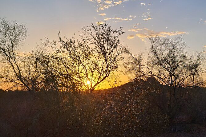Peaceful Morning Walk: Guided Journey Through the Sonoran Desert - Key Points