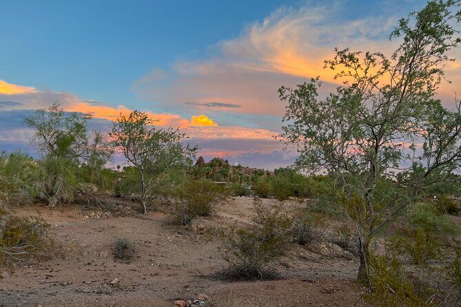 Peaceful Morning Walk: Guided Journey Through the Sonoran Desert - In-Depth Look at the Itinerary