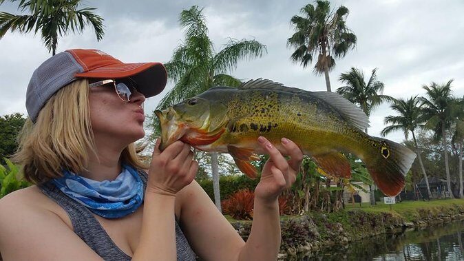 Peacock Bass Fishing Trip in Boynton Beach - A Closer Look at the Peacock Bass Fishing Trip in Boynton Beach