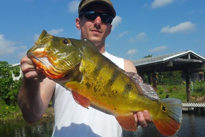 Peacock Bass Fishing Trip in Boynton Beach - The Experience in Detail