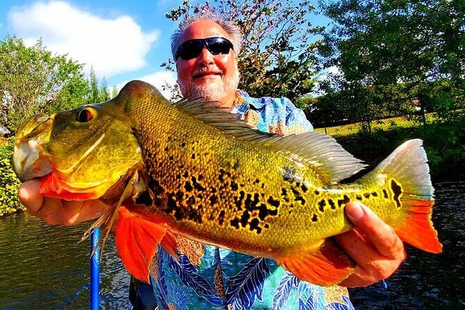 Peacock Bass Fishing Trip near Miami South Beach - The Sum Up