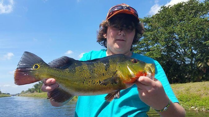 Peacock Bass Fishing Trips Near Key Largo - An In-Depth Look at the Peacock Bass Fishing Trip