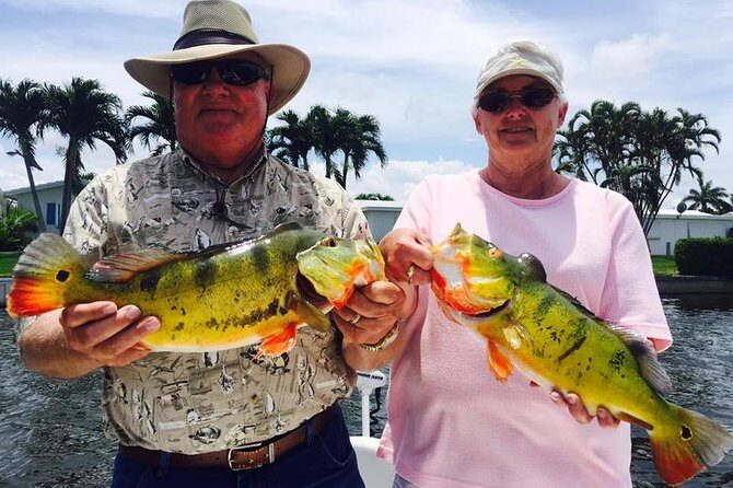 Peacock Bass Fishing Trips Near Key Largo - The Sum Up