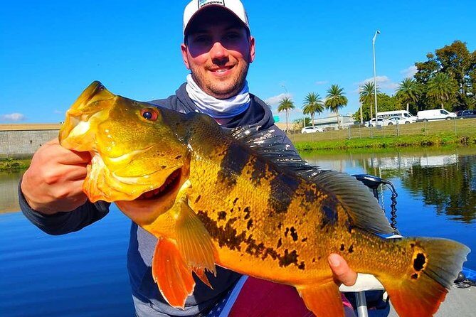 Peacock Bass Fishing Trips Near Miami Florida - Introduction