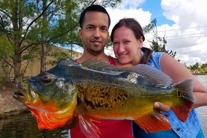 Peacock Bass Fishing Trips Near Miami Florida - Key Points