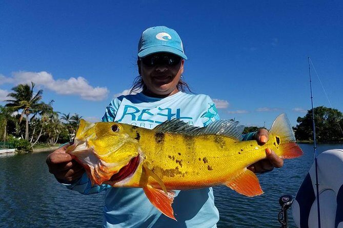 Peacock Bass Fishing Trips Near Miami Florida - A Typical Day on the Water: What to Expect