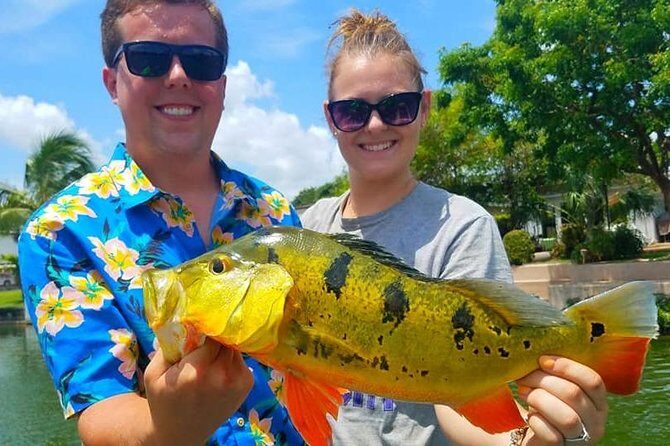 Peacock Bass Fishing Trips Near Miami Florida - Analyzing the Value