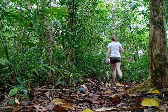 Peak, Paddle & Pedal - An In-Depth Look at the Tour Experience