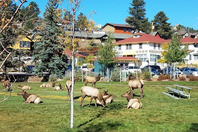 Peak to Peak Scenic Byway and Estes Park - A Deep Dive into the Tour Experience