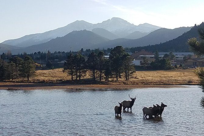 Peak to Peak Scenic Byway and Estes Park - The Final Word: Who Should Book This Tour?