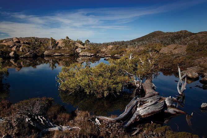 Peaks, Falls & Furry Locals: Mt. Field & the Derwent - Transportation, Timing, and Group Size