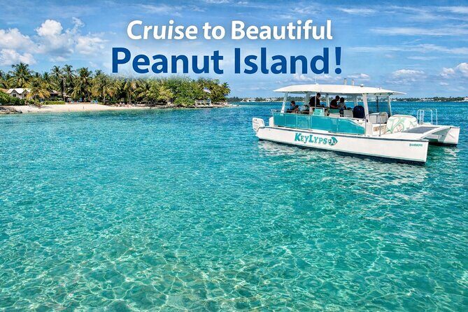 Peanut Island Sandbar and Swim Tour - Key Points
