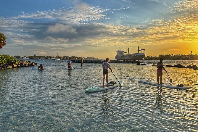 Peanut Island Sunrise Paddle Boarding Adventure - Key Points