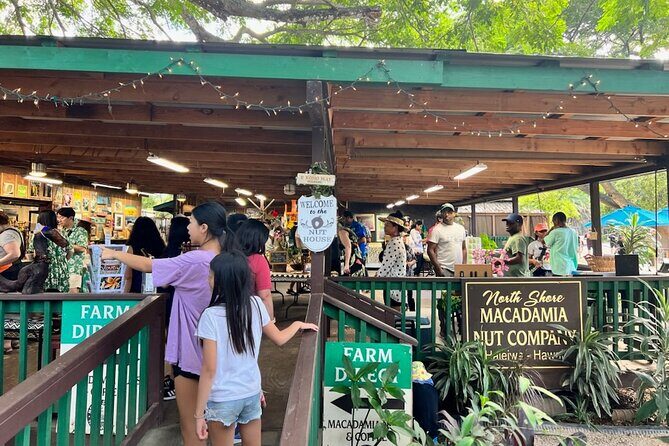 Pearl Harbor and Circle Island Tour - Insights from Reviews: What Travelers Say