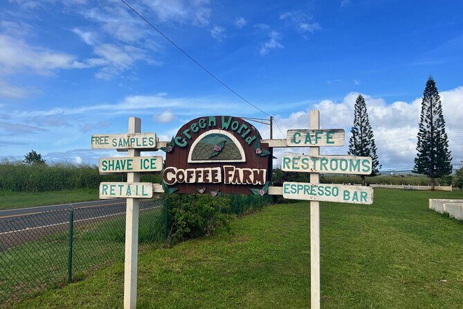 Pearl Harbor and Circle Island Tour - Who Is This Tour Best For?