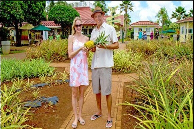 Pearl Harbor, Dole Plantation, Polynesian Center from Waikiki - Who Is This Tour Best Suited For?