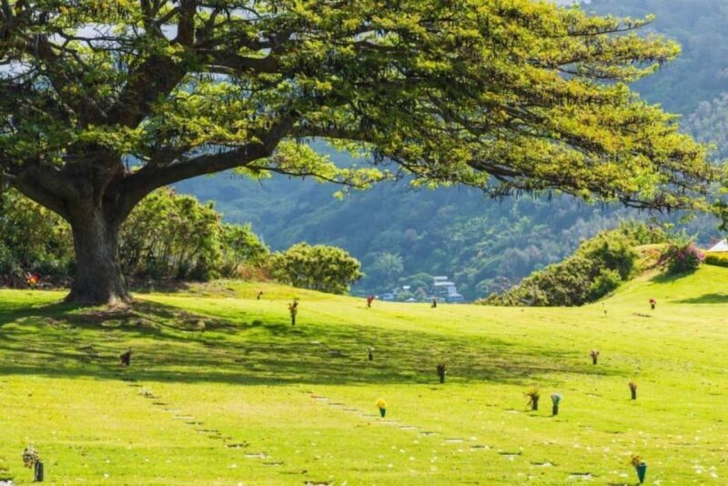 Pearl Harbor Oahu Circle Island Tour - Practical Details and Considerations