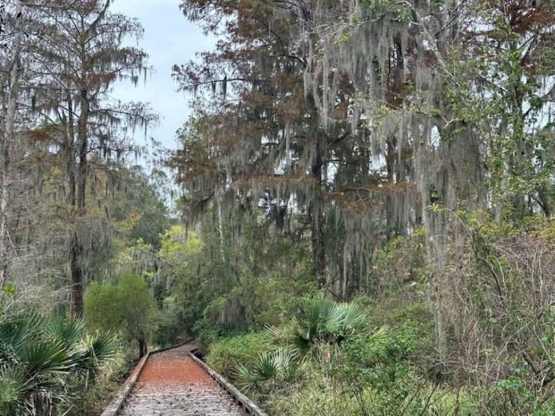 Pearlington: Devil's Swamp Eco Walking Tour - Historical and Folklore Elements