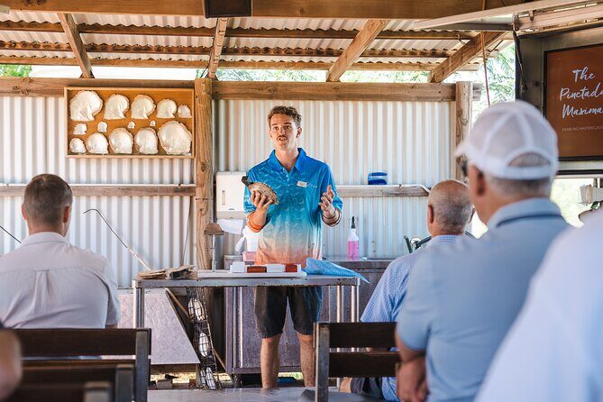 Pearls & Coast: 35-Min Heli Flight, Willie Creek Tour & Lunch - An Evening with Broome’s Best Views: An Overview