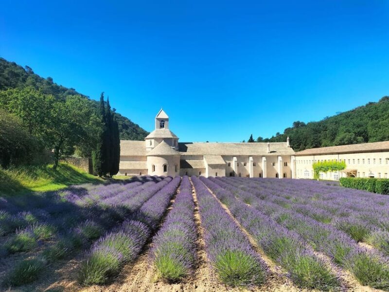 Pearls of Luberon: Gordes, Rousillon & Senanque private trip - An In-Depth Look at the Tour Experience