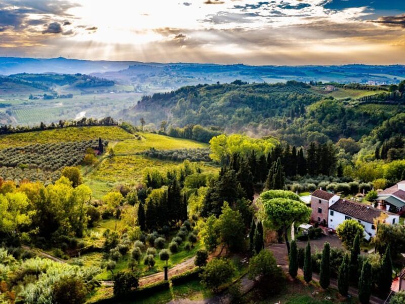 Peccioli: Wine tasting experience - The Sum Up