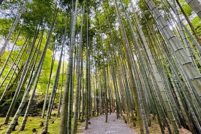 Pedal Adventure Kyoto E-Bike tour : True Kyoto Avoid the crowds - Value and Practicalities