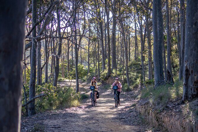 Pedal and Picnic in Tathra E-Bike Self-Guided Picnic Tour - FAQ