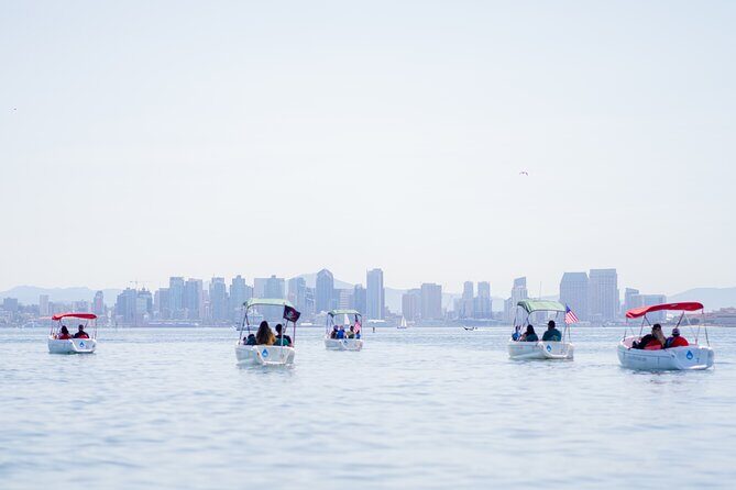 Pedal Boat rental in hidden part of San Diego Bay! Family fun - What This Experience Offers