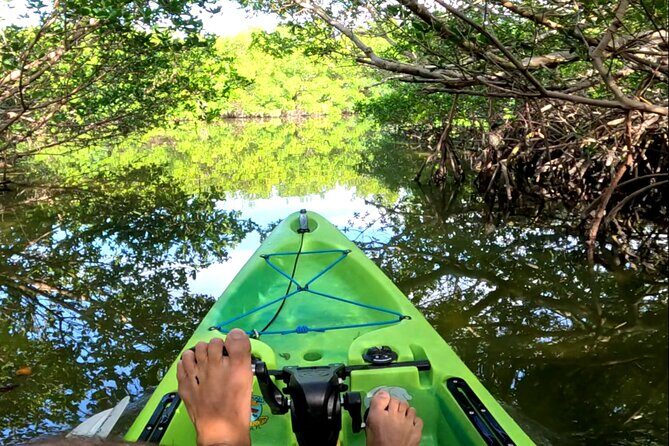 Pedal Kayak Mangrove Tunnel Tour in Bradenton - A Practical Guide to the Pedal Kayak Mangrove Tunnel Tour in Bradenton