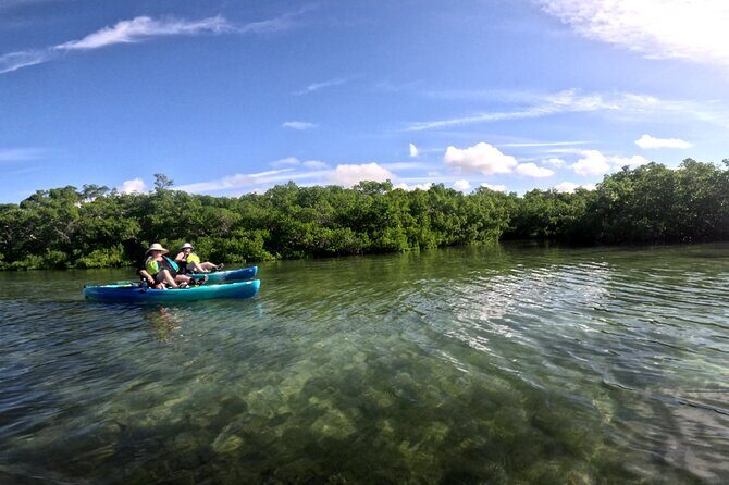 Pedal Kayak Mangrove Tunnel Tour in Bradenton - A Detailed Look at the Experience