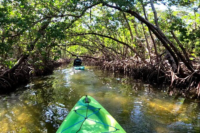 Pedal Kayak Mangrove Tunnel Tour in Bradenton - Who Should Consider This Tour?