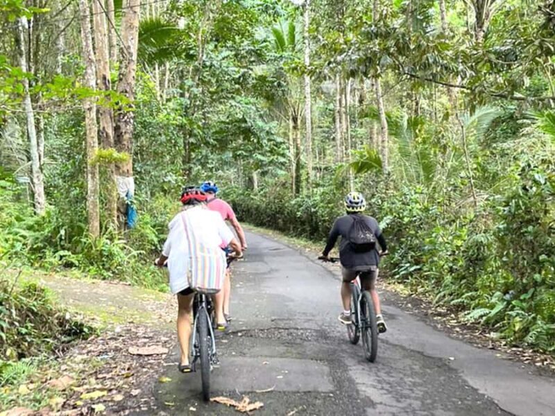 Pedal Through Paradise: Bali Wanderlust Sidemen Cycling Tour - An Overview of what to Expect