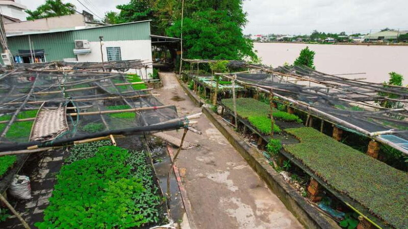 Pedaling the mekong's rural tracks - Can Tho Premium tour - A Closer Look at the Itinerary