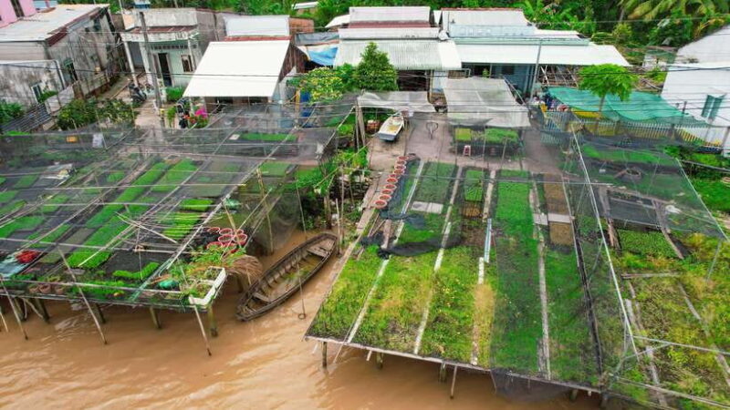 Pedaling the mekong's rural tracks - Can Tho Premium tour - The Value of This Tour for Travelers