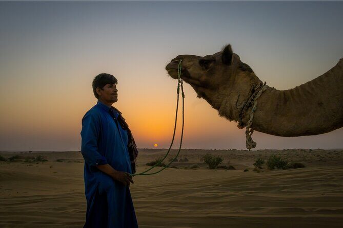 Peep's Billions of Stars Experience with Desert & Camel Safari - Why This Tour Offers Good Value